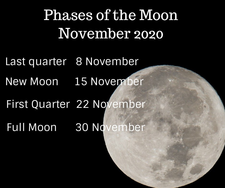 November Moon Phases